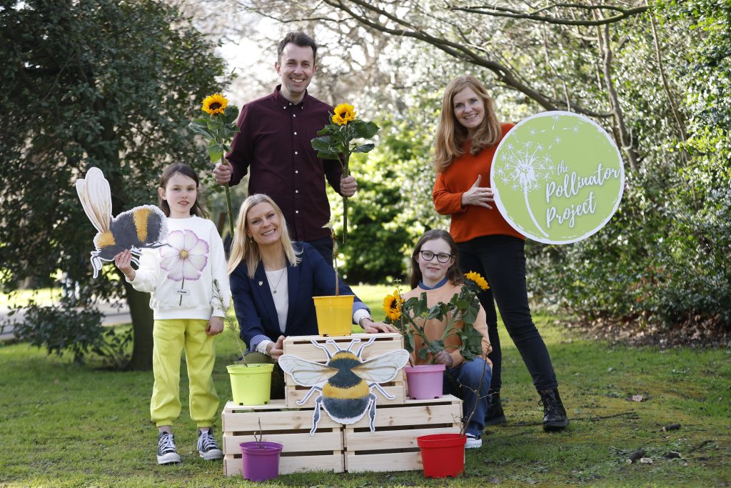 Only Half Of Irish Classrooms Now Have Nature Tables - SIRO