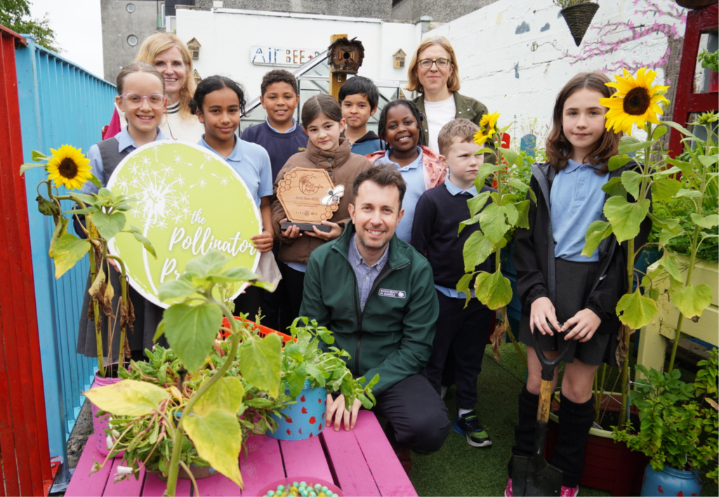 Galway City's St. Patrick's Primary School Crowned Golden Bee Champion ...